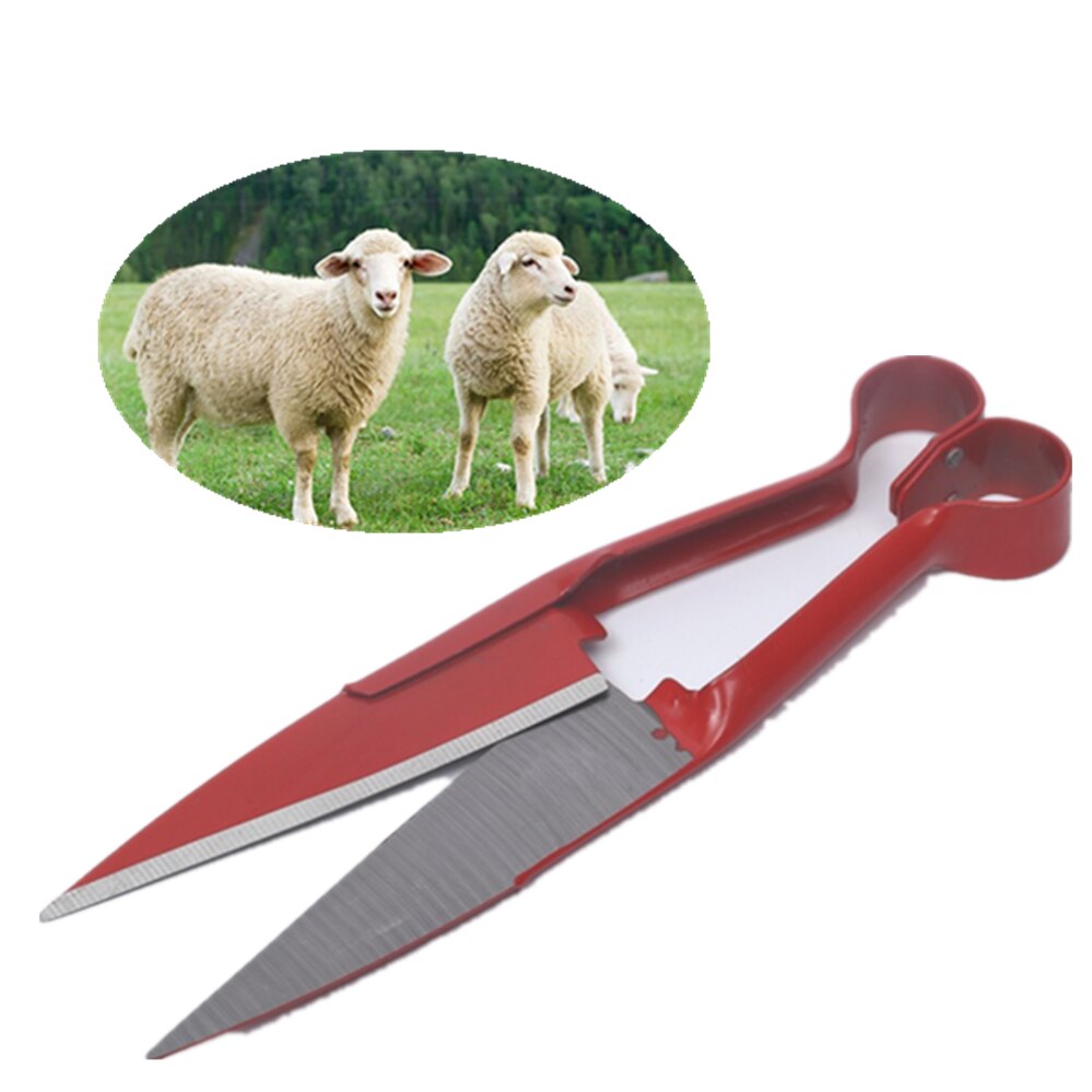 MAS VET 2025 - Sheep Shears - Wool Trimming Scissors