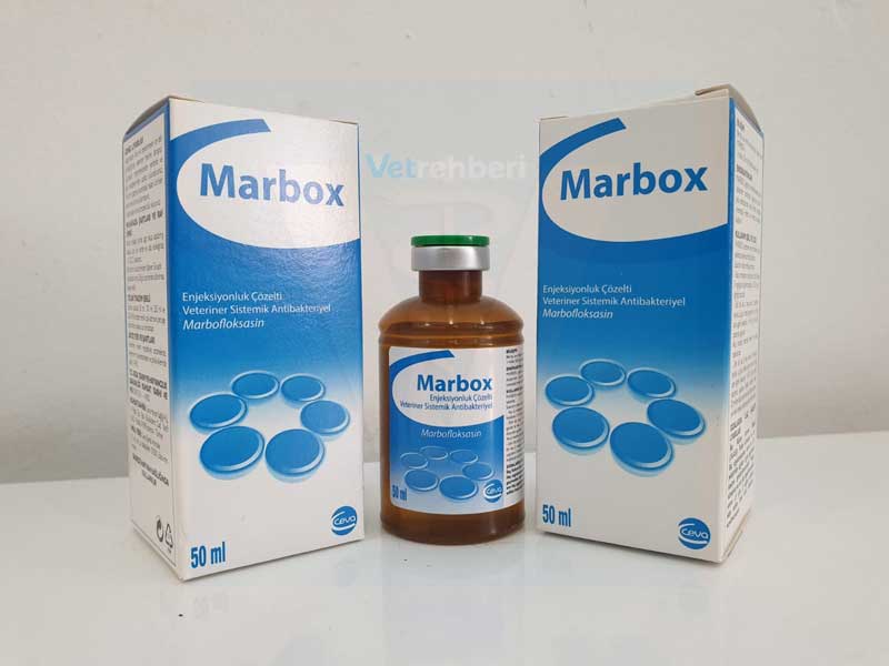 MAS VET 2025 - marbox 50 ml