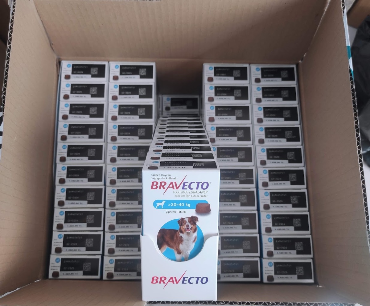 MAS VET 2025 - Bravecto chewable tablets for dogs 500 mg (> 10 -20 kg).