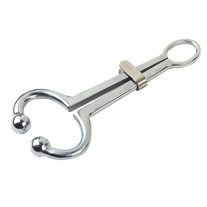 MAS VET 2025 - Bull holder HARMS 19 cm, slide adjuster, stainless steel