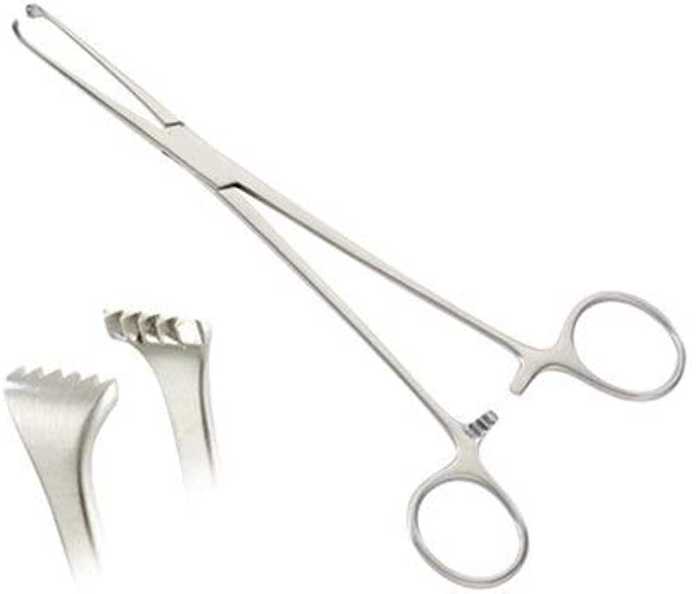 MAS VET 2025 - Allis Forceps